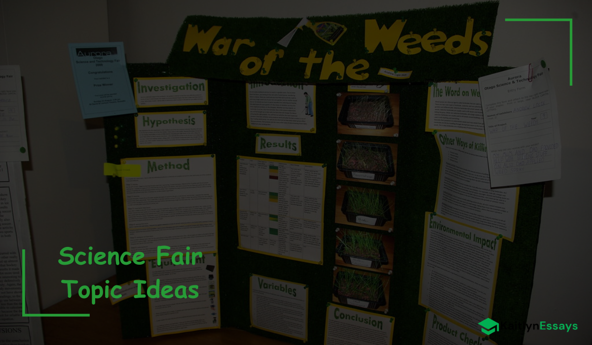 Easy and Interesting Science Fair Topic Ideas for Students